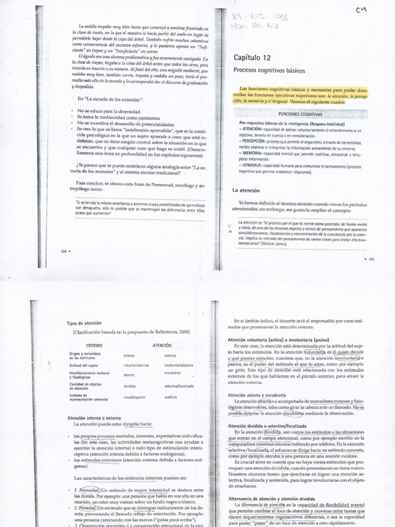Fernandez Coto, R (2012) Cap12. Procesos Cognitivos Básicos. Cerebrando ...