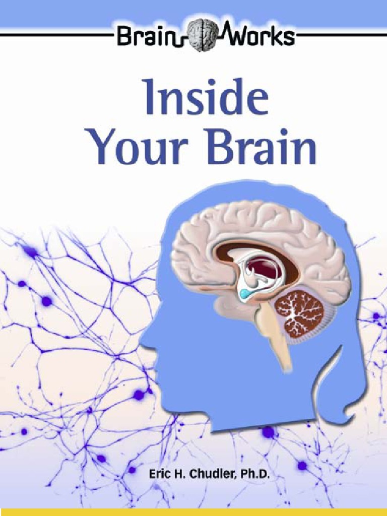 Inside Your Brain | PDF | Neuron | Axon