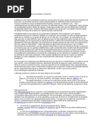 Etimología y Origen del Derecho | PDF | Moralidad | Justicia