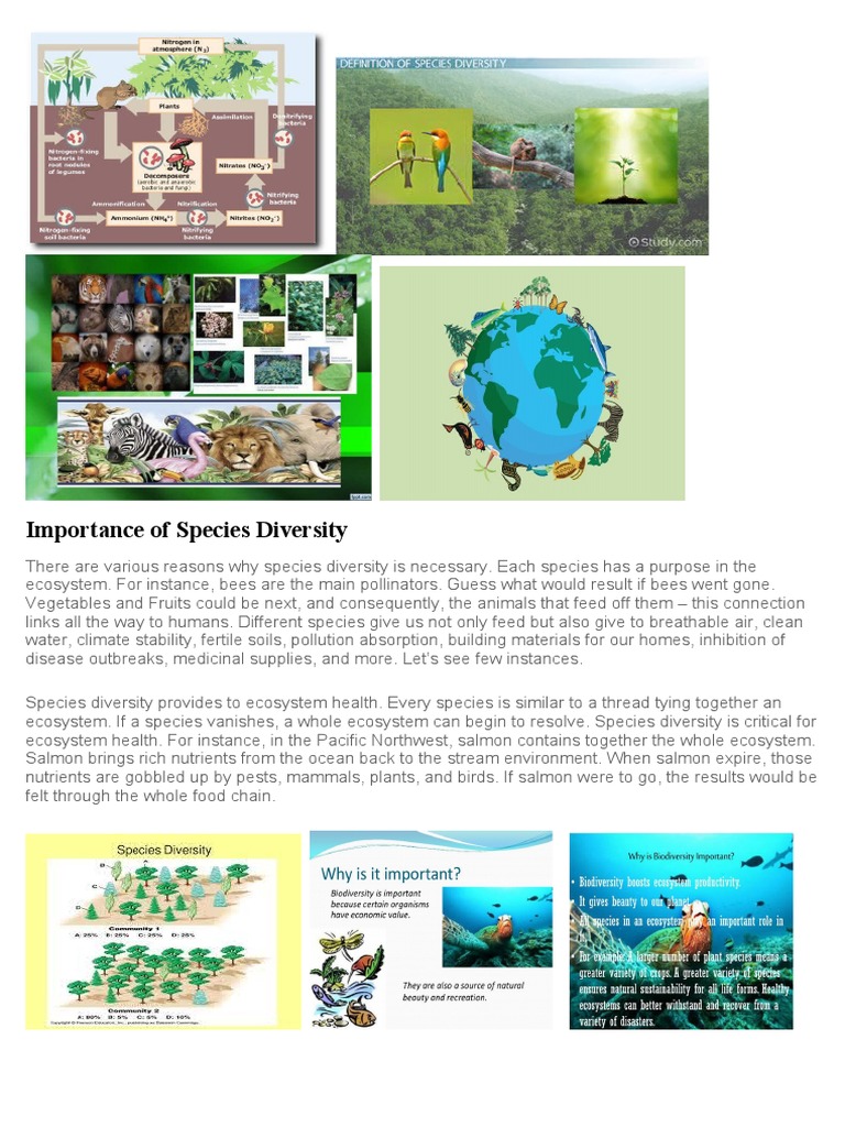 The Vital Importance of Species Diversity for Ecosystem Health and ...