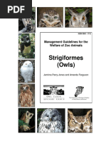 Owl Babies - Waddell, Martin Benson, Patrick, Ill | PDF | Birds Of Prey