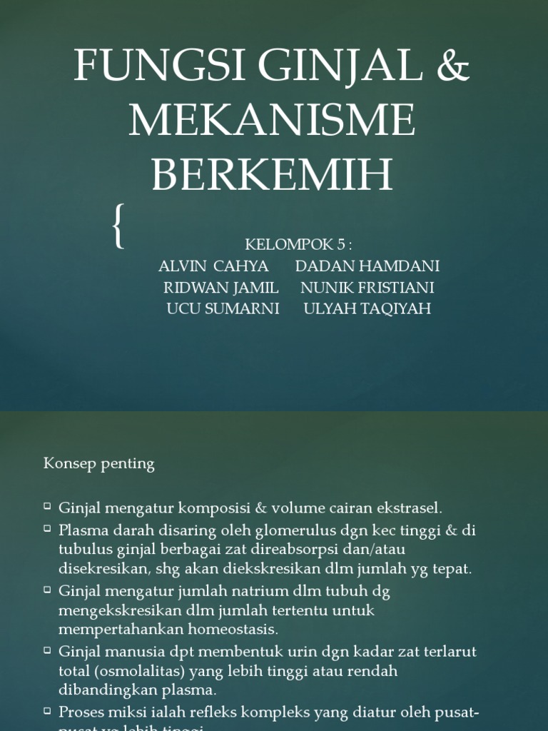 Fungsi Ginjal & Mekanisme Berkemih | PDF