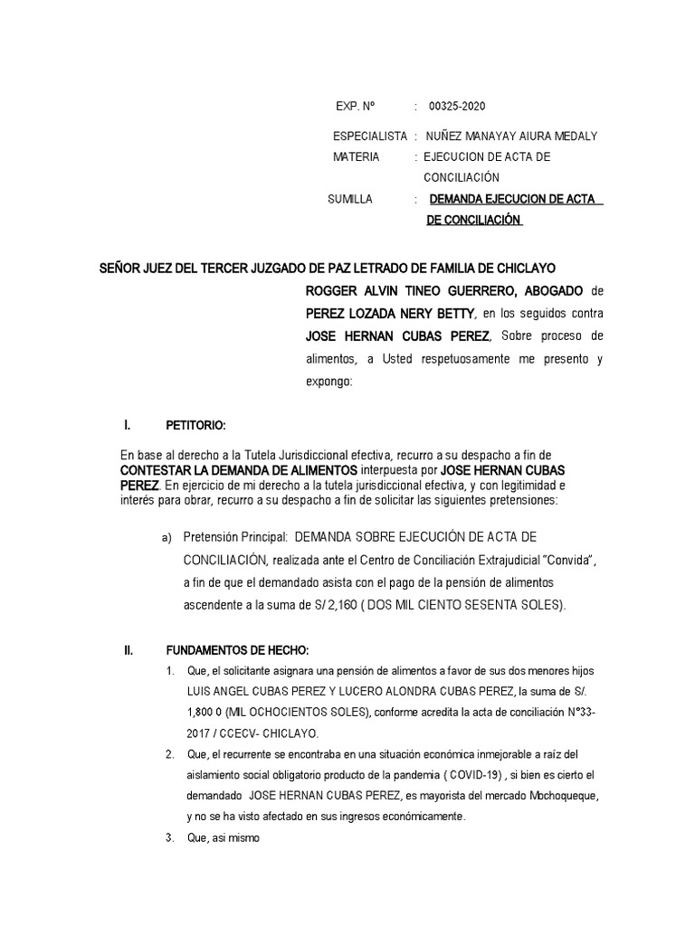 Acta de Ejecucion | PDF