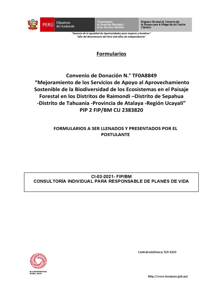 CI 003 2021 FIP BM - Formulario | PDF | Perú