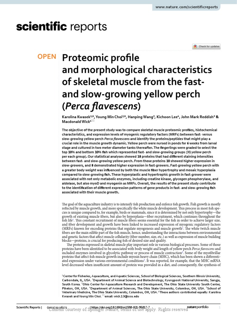 Proteomic Profile and Morphological Characteristic | PDF | Muscle ...