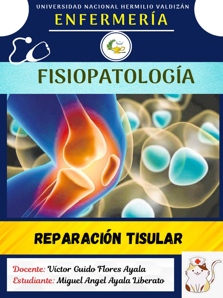 Reparación Tisular | PDF | Inflamación | Cicatrización de la herida