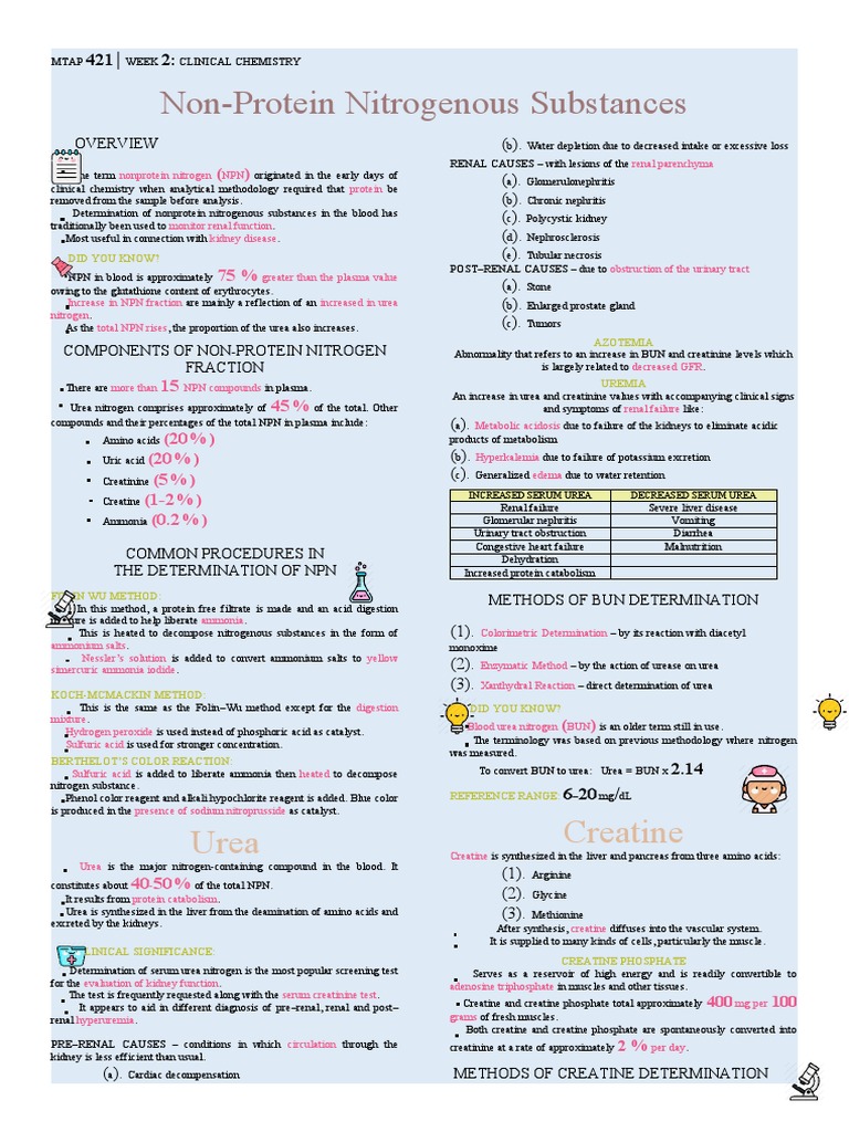 Non-Protein Nitrogenous Substances: Urea Creatine | PDF | Creatinine ...