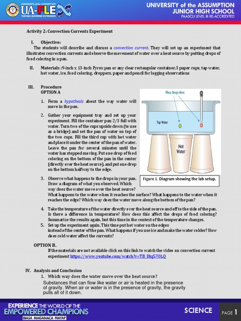 Convection Currents In Water