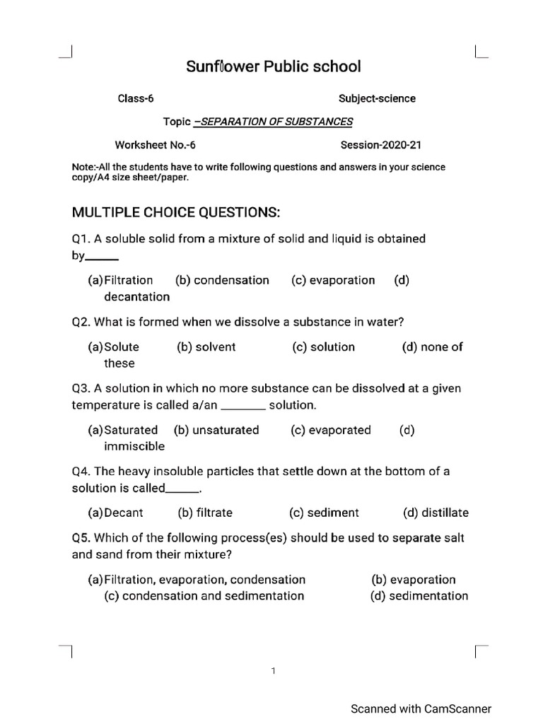 Class6 Science Worksheet 6 | PDF