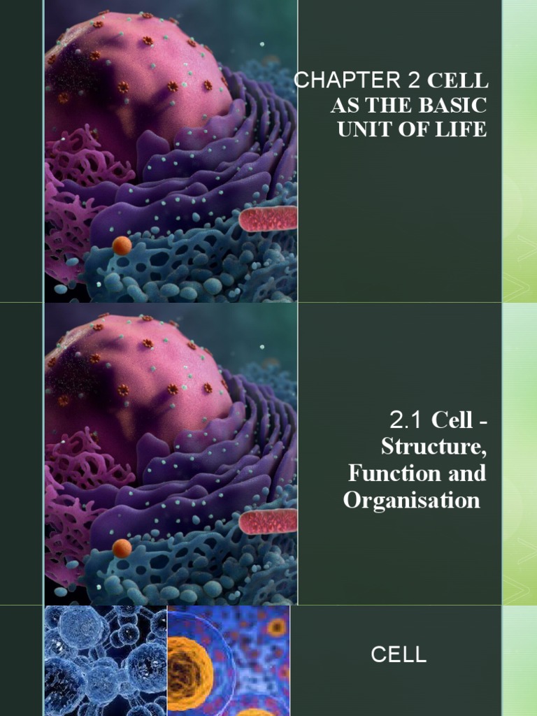 TB Science f1 Chapter 2 | PDF | Human Body | Cell (Biology)