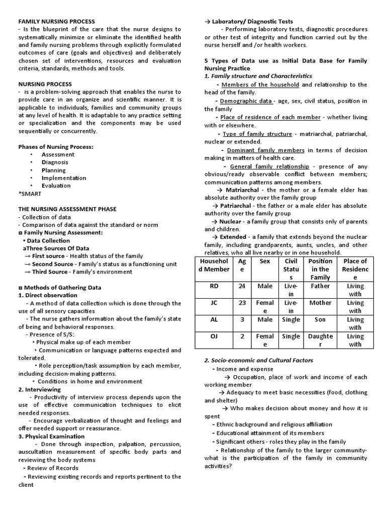 Family Nursing Process | PDF | Family | Nursing