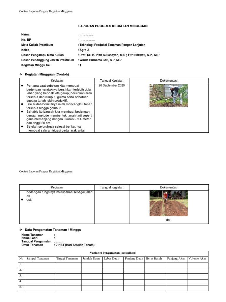 Template Progress Mingguan | PDF