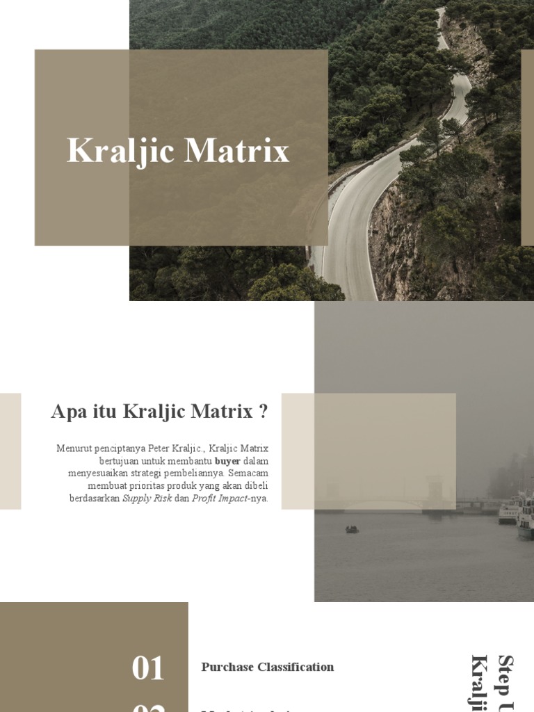 Kraljic Matrix | PDF