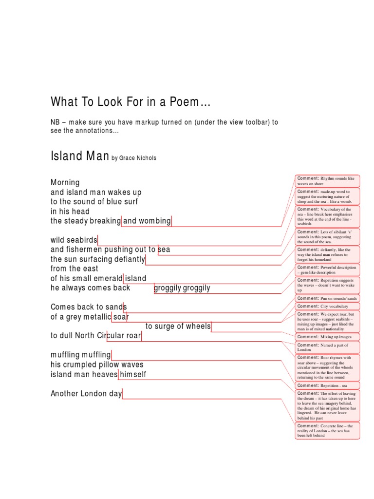 Analyzing Themes in Island Man Poem | PDF