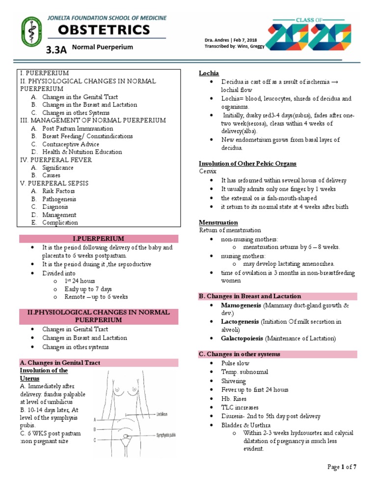 OB1 3.3A Normal Puerperium and Puerperal Fever | PDF | Postpartum ...