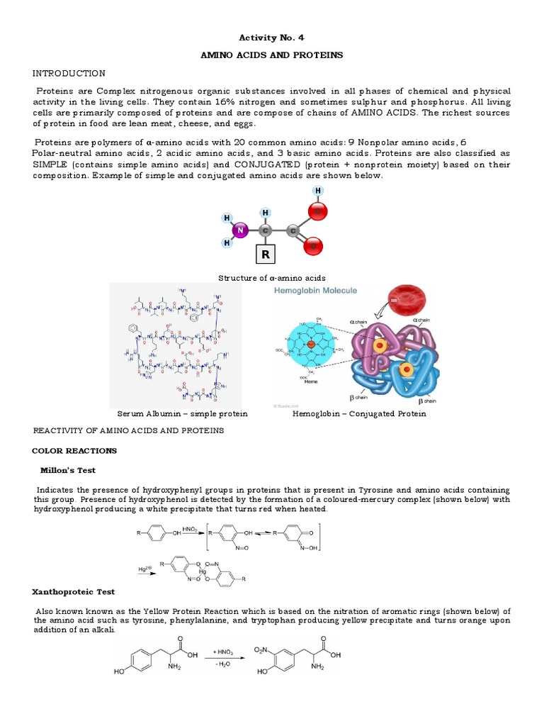 Color Reactions of Amino Acids | PDF | Amino Acid | Sodium Hydroxide