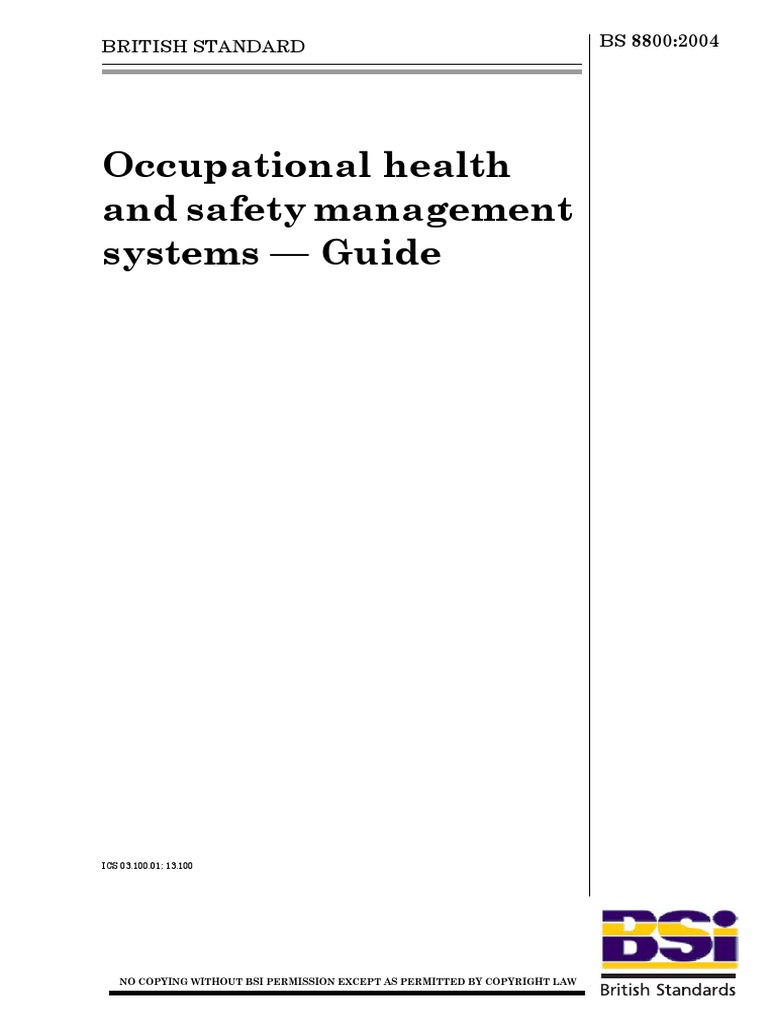 Occupational Health and Safety Management Systems - Guide: British ...