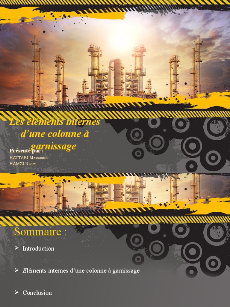 Éléments internes d'une colonne à garnissage | PDF | Physique appliquée ...