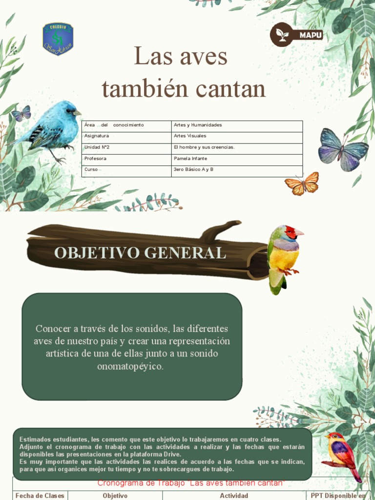 Clase Canto de Las Aves | PDF | Aves | Zoología