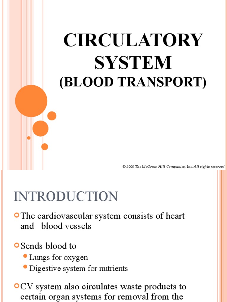 Circulatory System: (Blood Transport) | PDF | Heart Valve | Heart