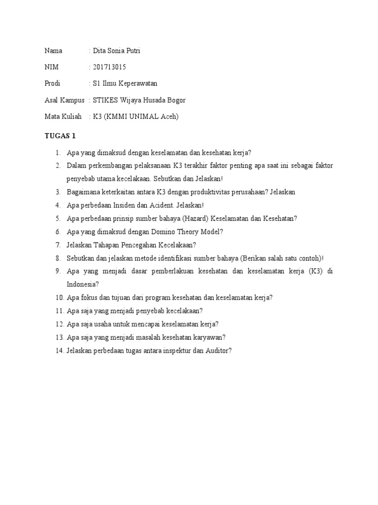 TUGAS 1 Dita Sonia Putri - 201713015 - STIKES Wijaya Husada Bogor | PDF