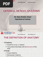 XBX Plan For Women | PDF | Foot | Human Leg
