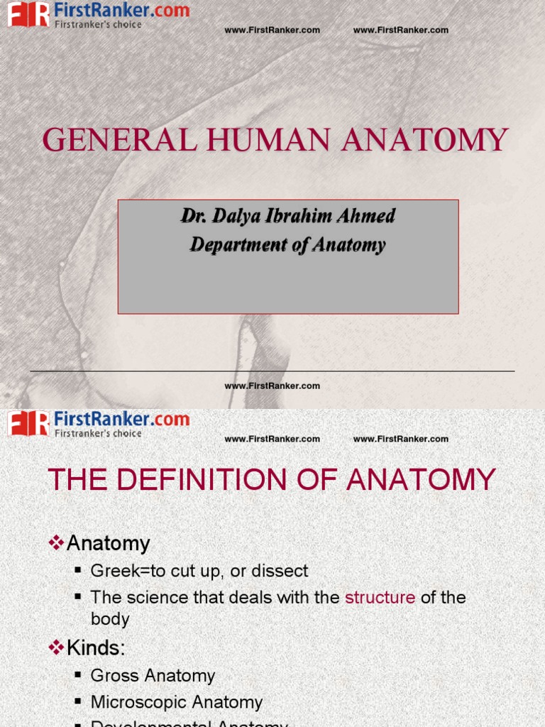 General Human Anatomy: Dr. Dalya Ibrahim Ahmed Department of Anatomy ...