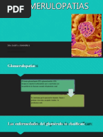 CAPÍTULO 17 - Prurigo Por Insectos (Cimiciasis) | PDF | Insecticida ...