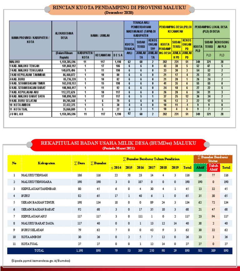Data BUMDes Dan Pendamping | PDF