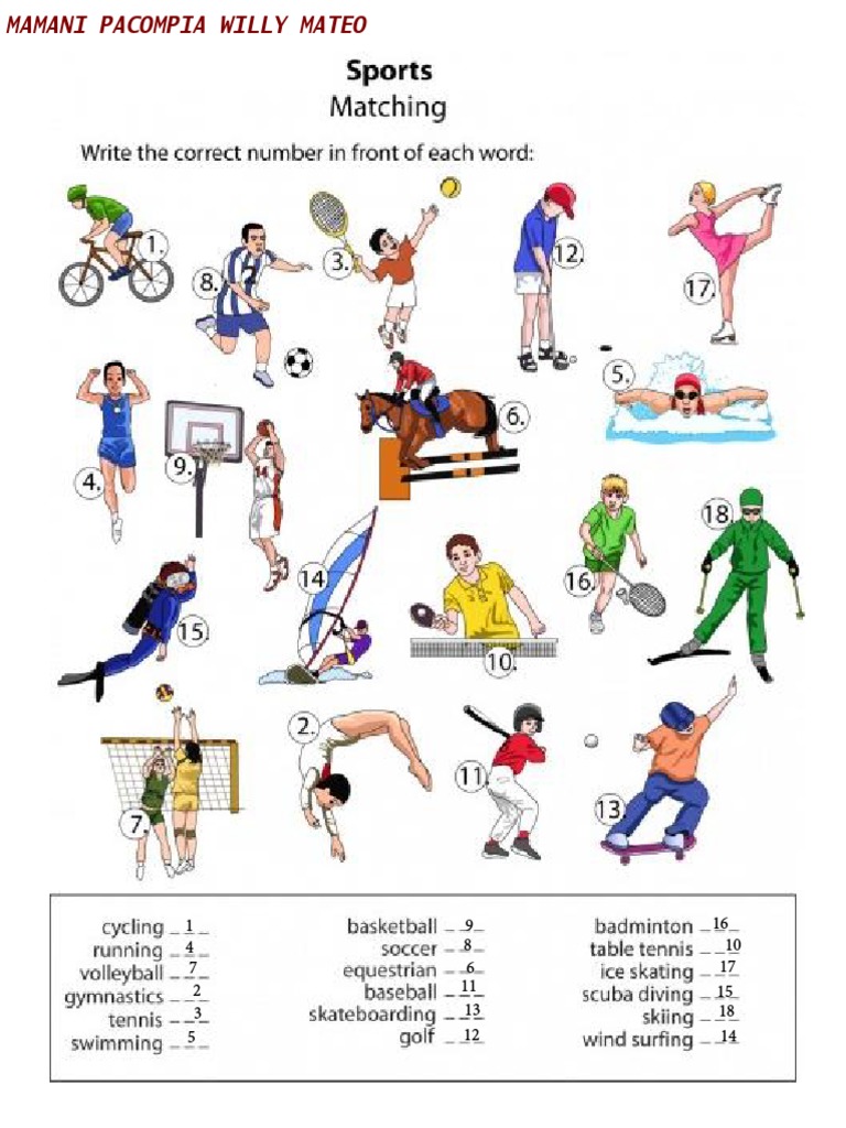 Sports Reading Comprehension Worksheet | PDF | Sports | Cricket