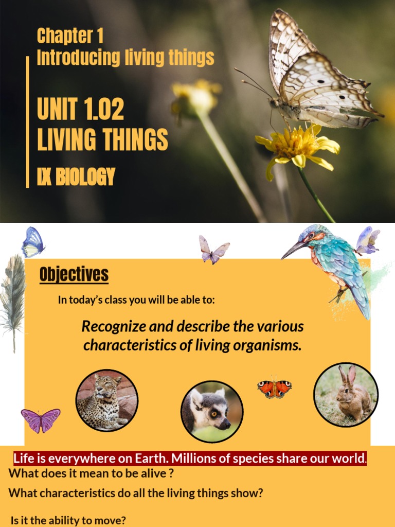 Unit 1.02 Living Things | PDF | Plants | Excretion