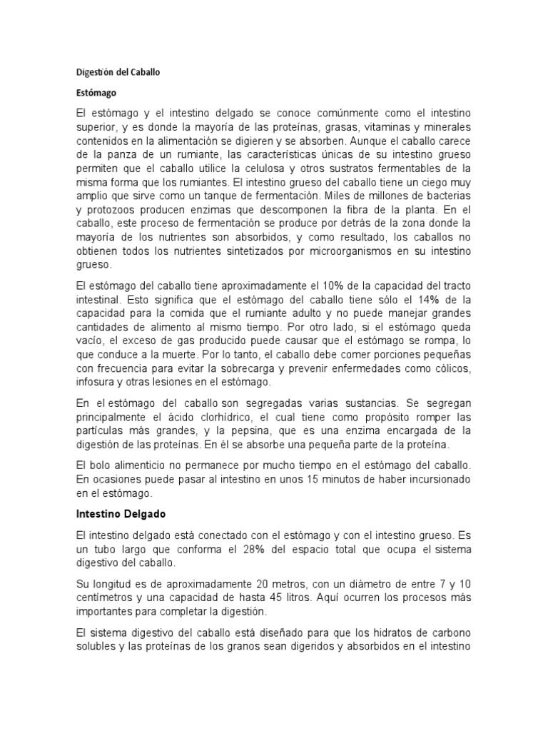 Digestión Del Caballo | PDF | Digestión | Sistema digestivo humano