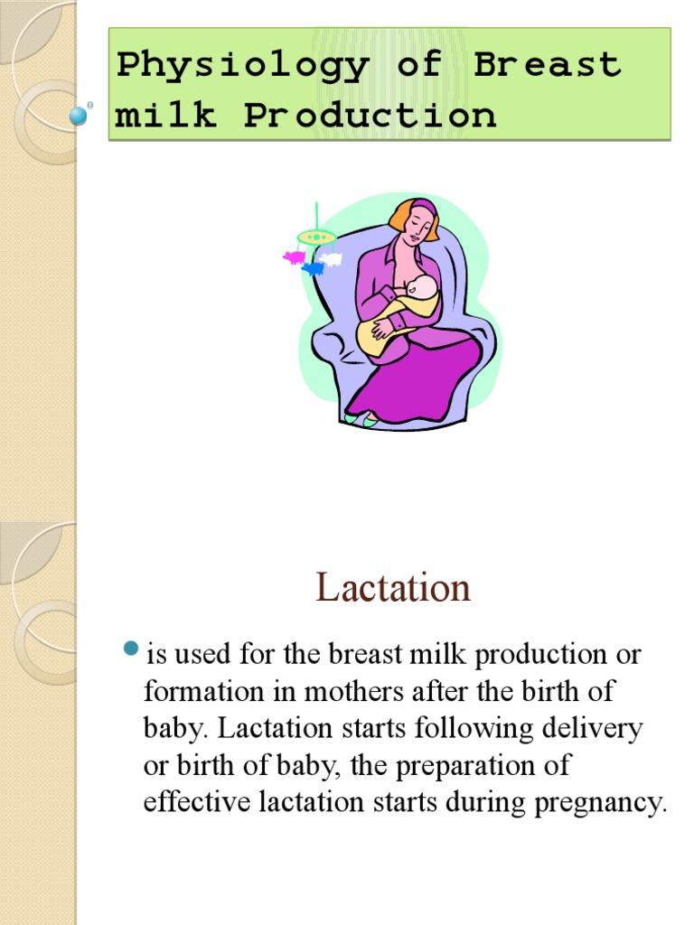 Physiology of Breast Milk Production | PDF | Lactation | Breast