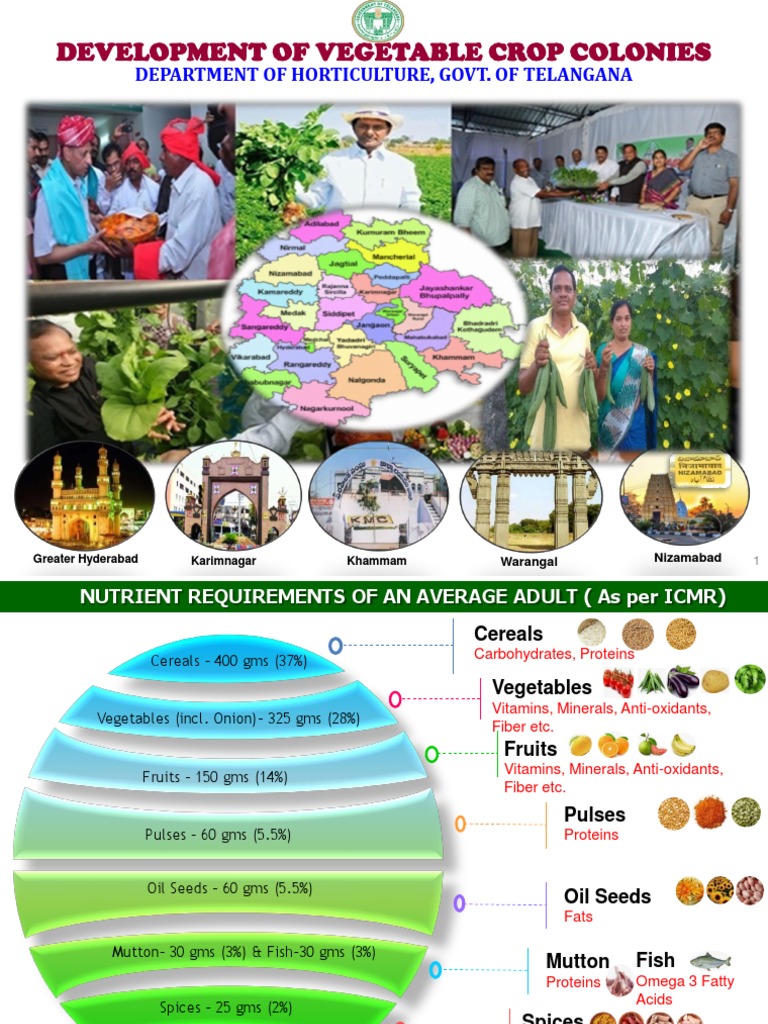 Development of Vegetable Crop Colonies: Department of Horticulture ...