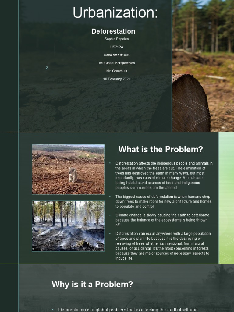 Deforestation Powerpoint | PDF | Deforestation | Climate Change