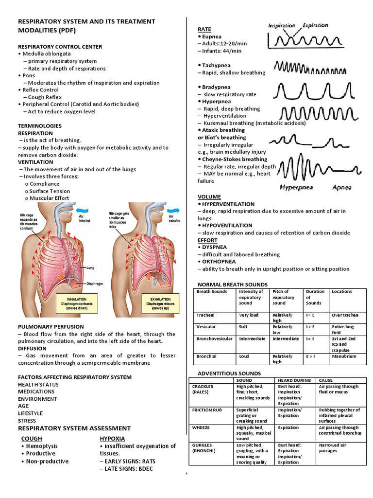 Respiratory System and Its Treatment Modalities PDF | PDF | Breathing ...