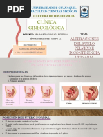 Manejo del Absceso Mamario | PDF | Pecho | Medicina CLINICA