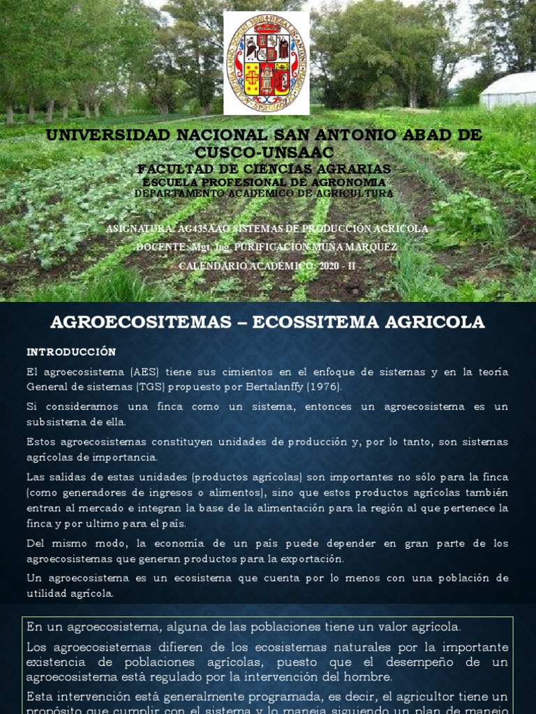 Sistemas de producción agrícola: Conceptos fundamentales de agroecosistemas | PDF | Agricultura ...