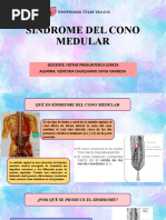 Signo de Mapache | PDF | Lesión | Medicina