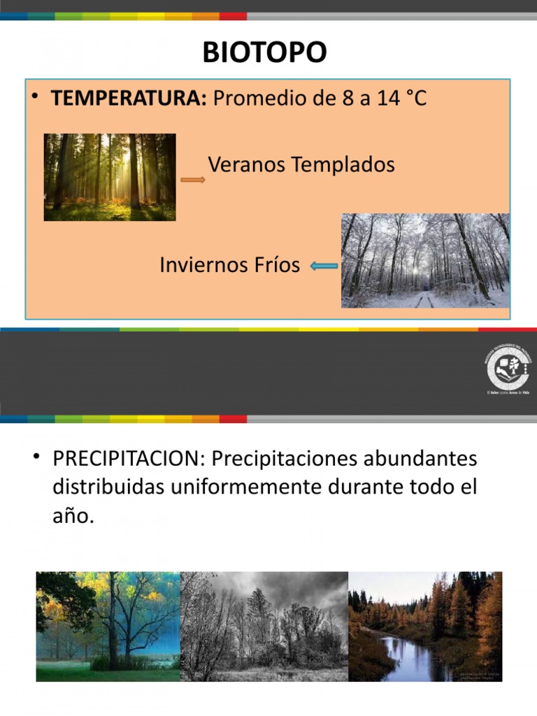 Bosques Caducilofilos Biotopo y Biocenosis | PDF