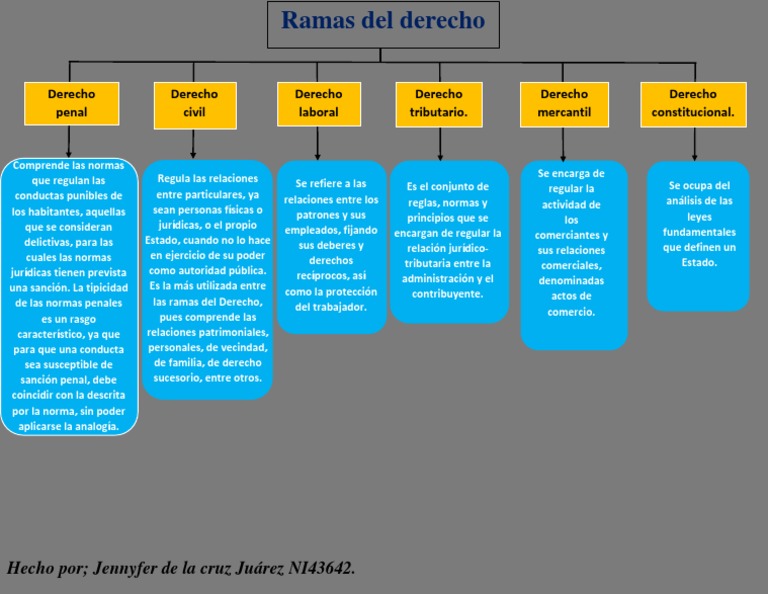 ¿Cuáles Son Las Ramas Del Derecho En Estados Unidos? – AVKIU