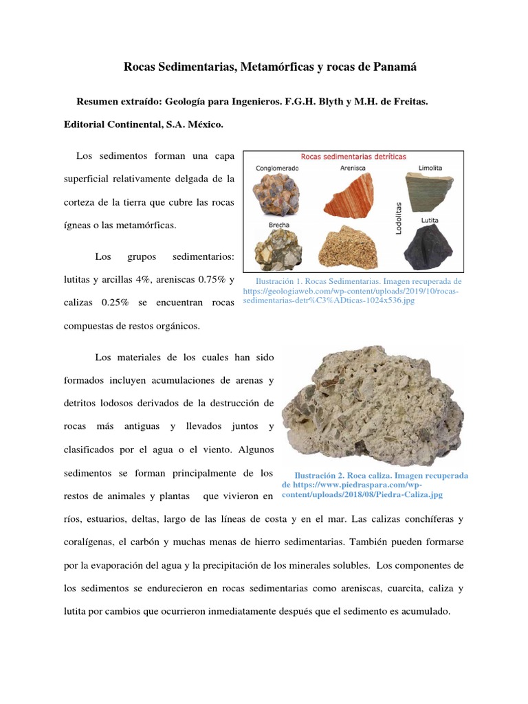 Ejemplos De Rocas Sedimentarias Orgánicas Clasificación De Las Rocas