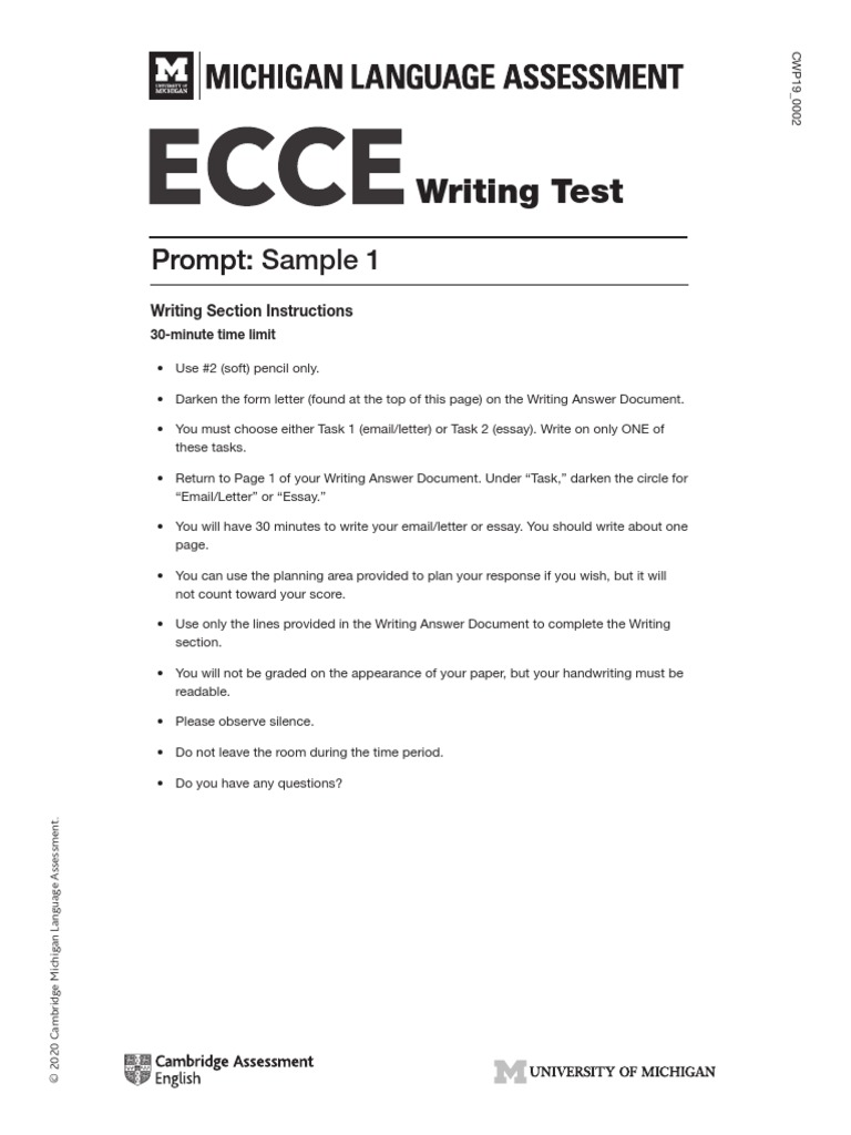 Writing Test: Prompt: Prompt: Sample 1 | PDF | Essays | Cognition