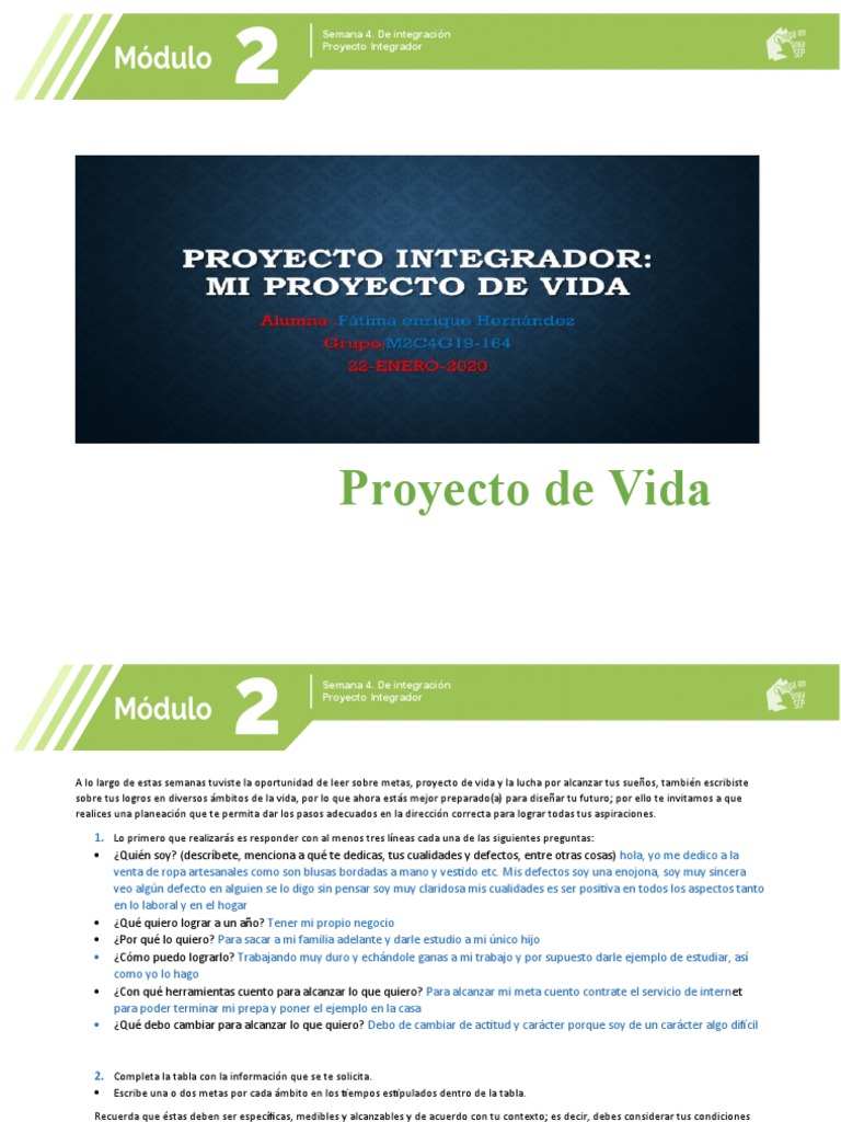 Proyecto Integrador Mi Proyecto de Vida | PDF