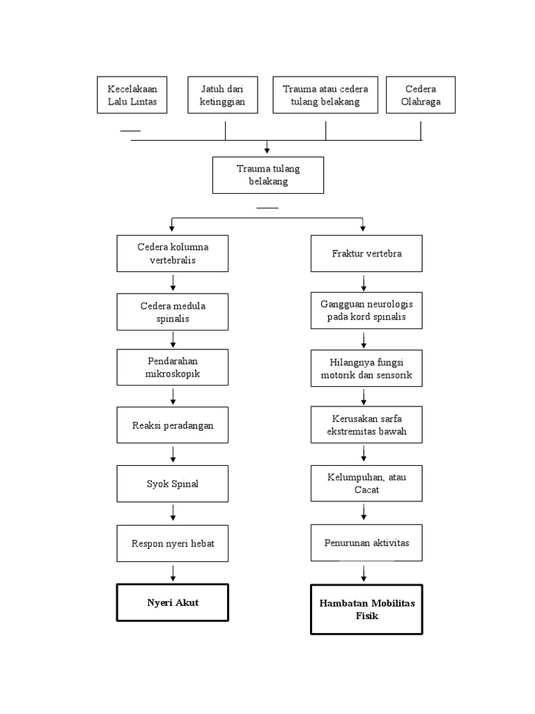 Pathway Spinal Cord Injury | PDF