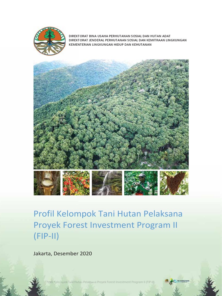 Buku Profil KTH FIP2 | PDF