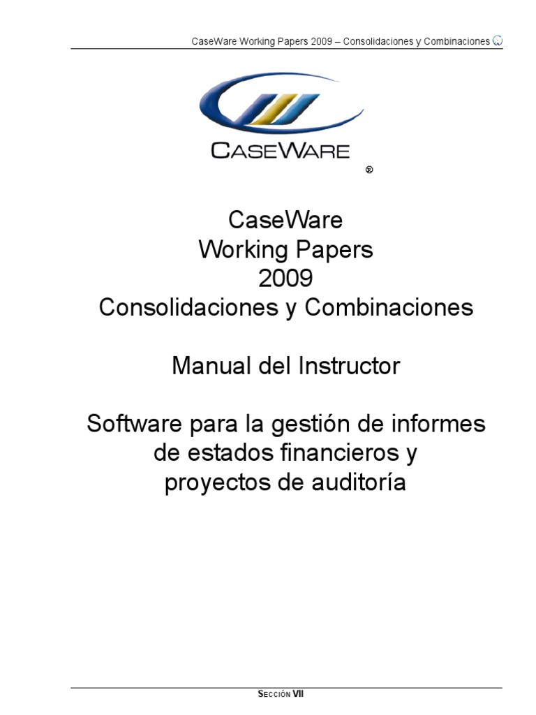 CaseWare Working Papers Consolidaciones 2009 | PDF | Archivo de ...
