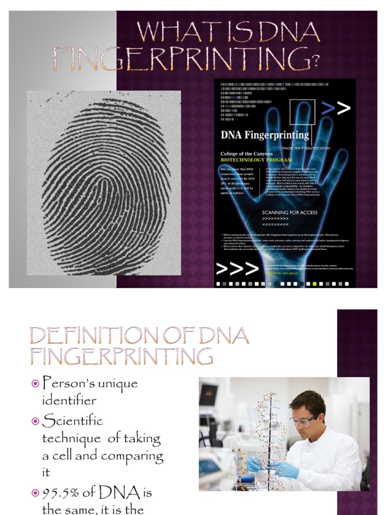 Class 12 DNA Fingerprinting Project | PDF | Polymerase Chain Reaction ...