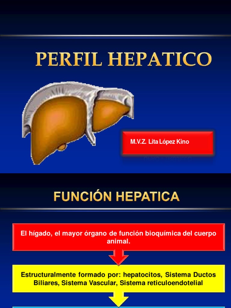 Perfil Hepatico | PDF | Metabolismo | Hepatitis