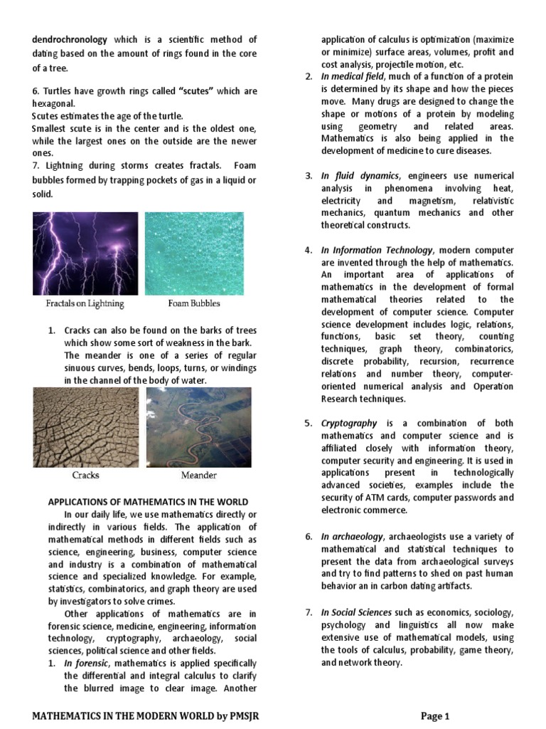 MATHEMATICS IN MANY FIELDS | PDF | Mathematics | Applied Mathematics